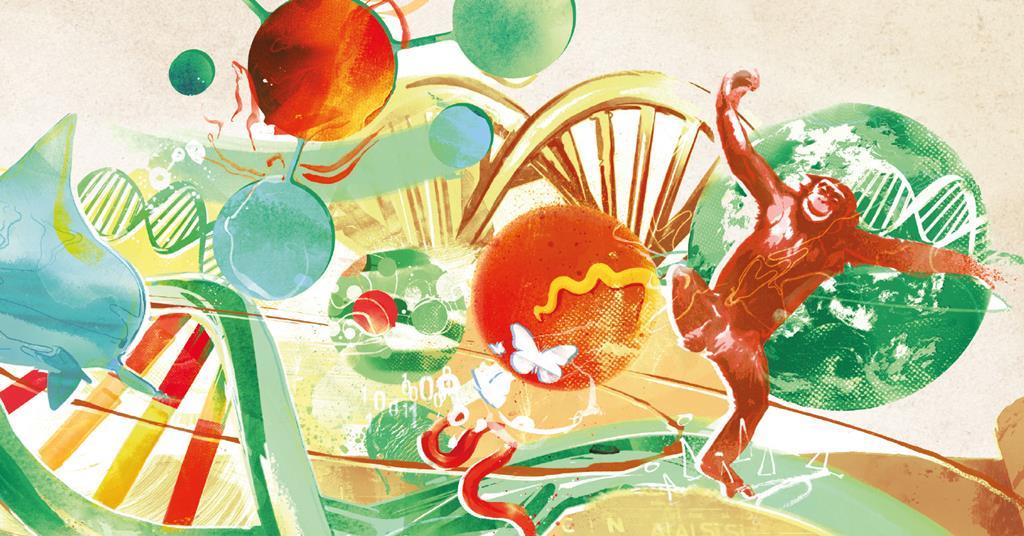 Wonders of the living world: Curiosity, awe and the meaning of life ...