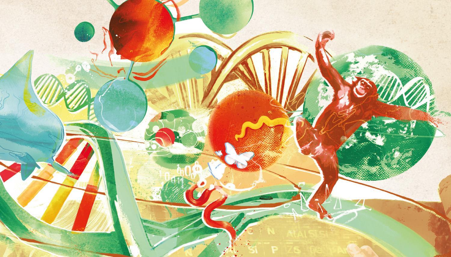 Wonders of the living world: Curiosity, awe and the meaning of life ...