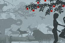 David Instone-Brewer | Author | Premier Christianity